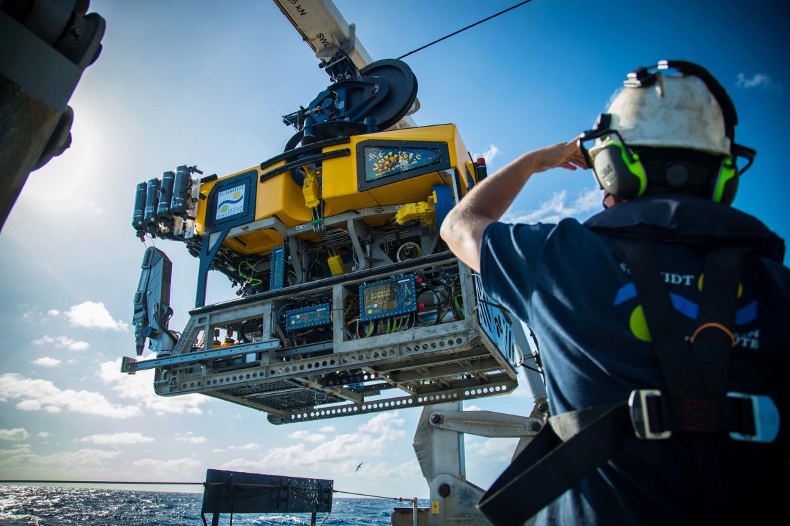 Deep Diving in the Coral Sea - Schmidt Ocean Institute
