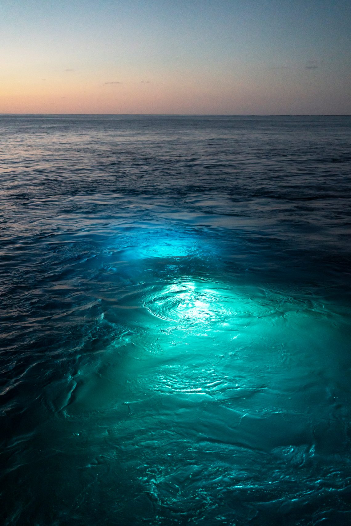 The Work of Masters - Schmidt Ocean Institute