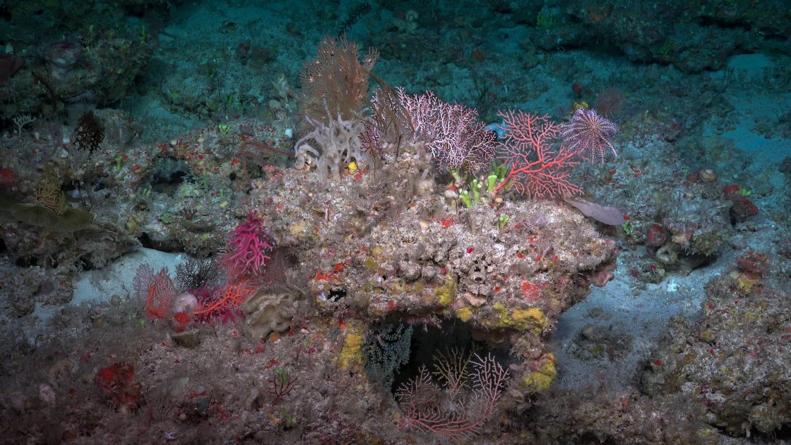 The Opportunity of a Lifetime - Schmidt Ocean Institute