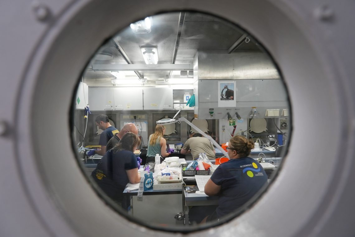 The Ties that Bind Us - Schmidt Ocean Institute