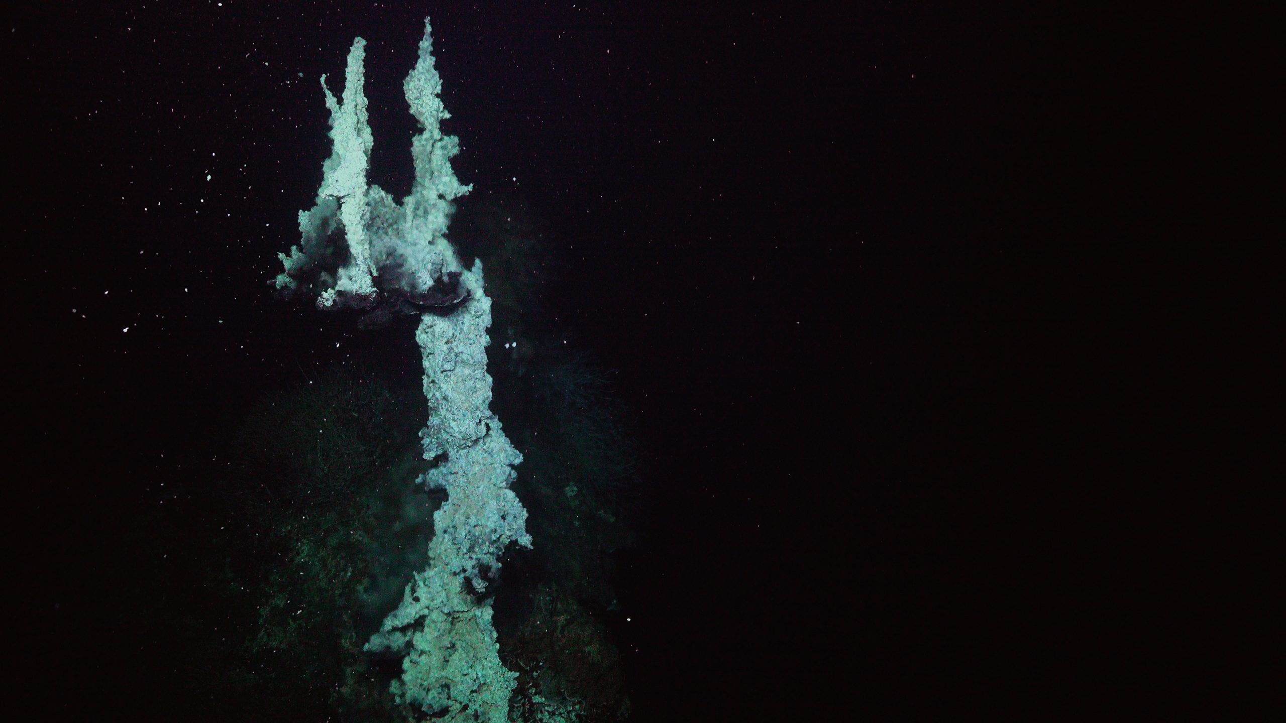 The Opening of the Gulf of California - Schmidt Ocean Institute