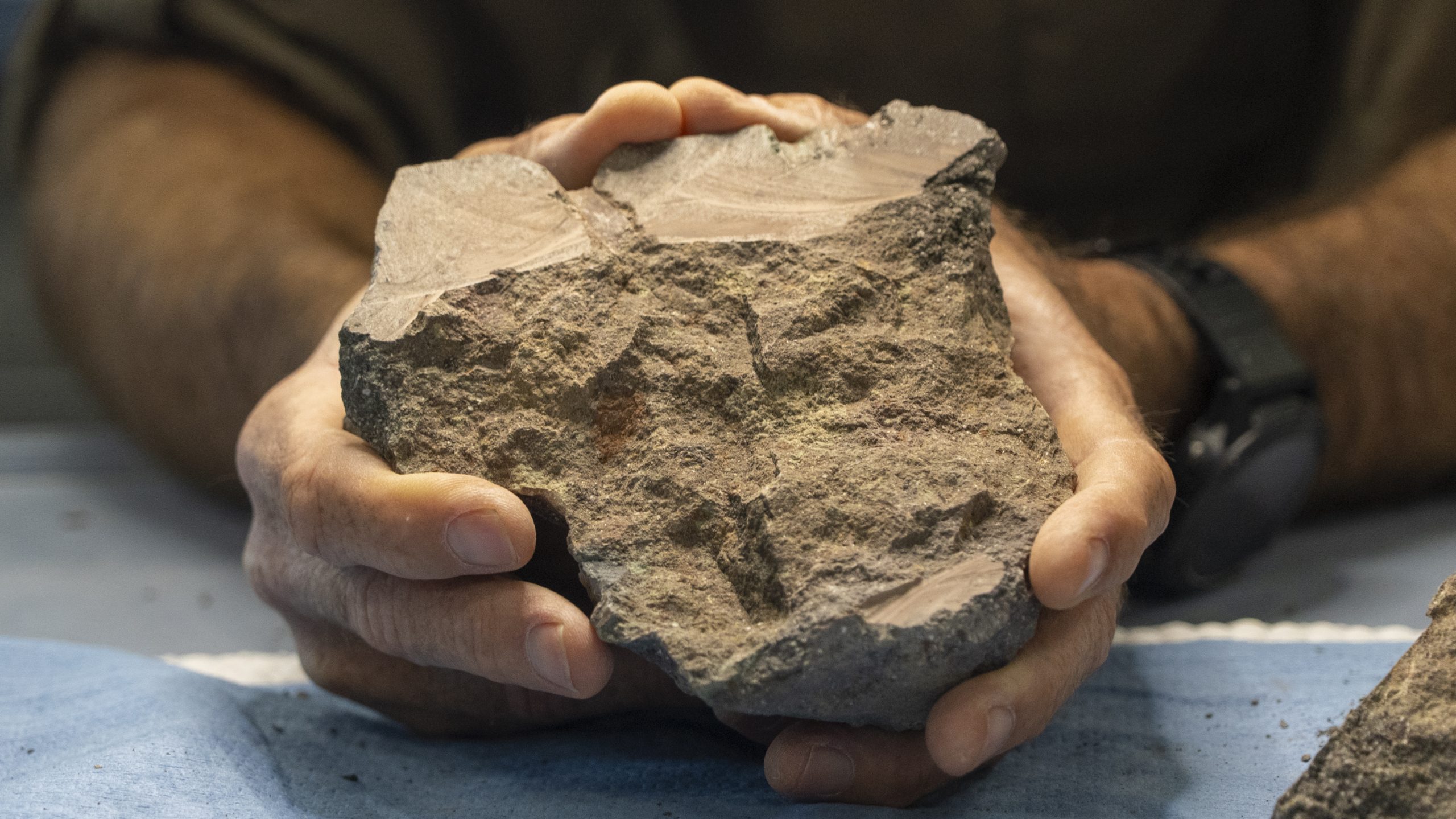 Una Historia Contada por Rocas - Schmidt Ocean Institute