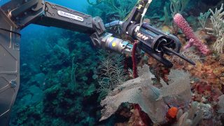 News - Schmidt Ocean Institute