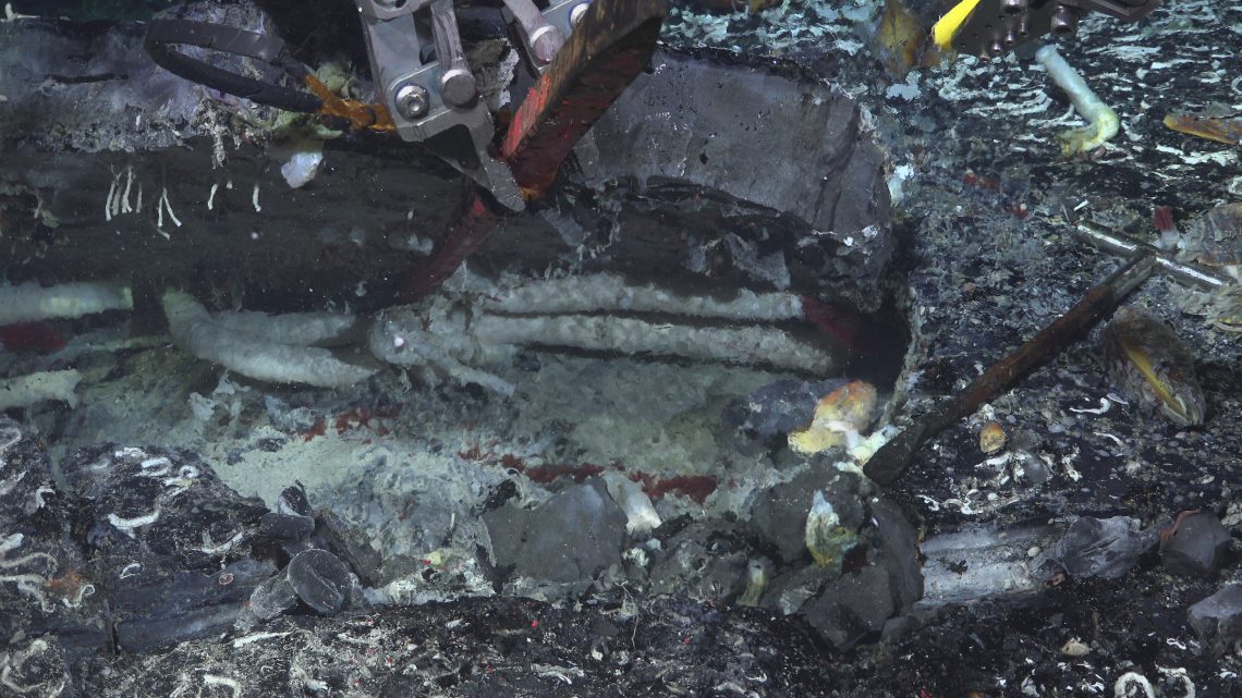 Scientists Discover New Ecosystem Underneath Hydrothermal Vents - Schmidt Ocean Institute