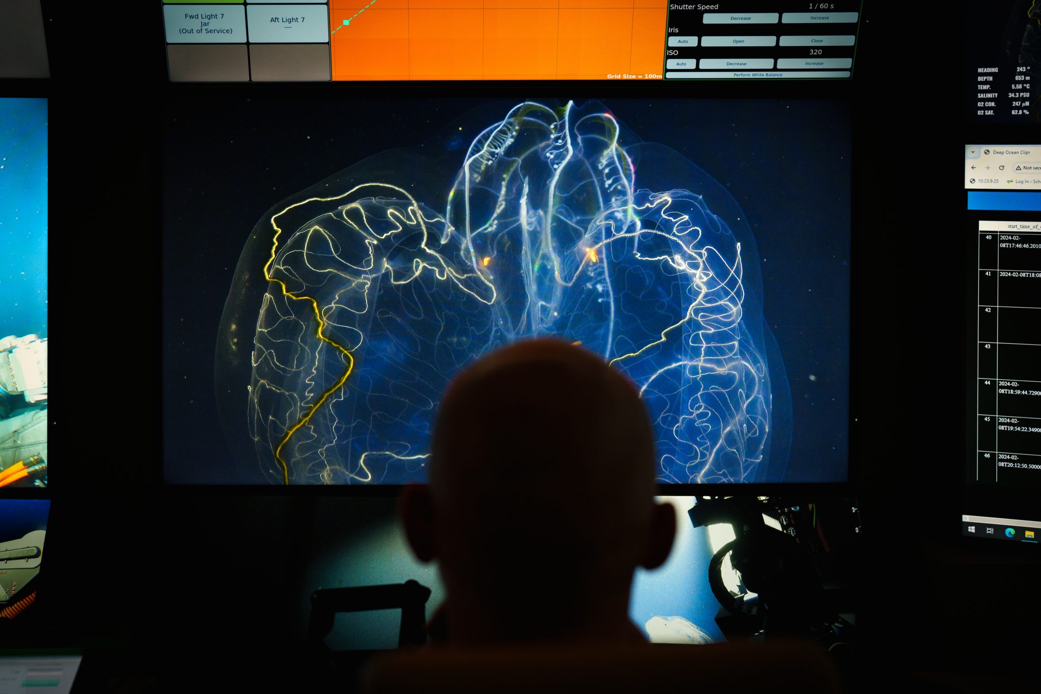 Canyons, Vents, and Seeps of the Chile Margin - Schmidt Ocean Institute