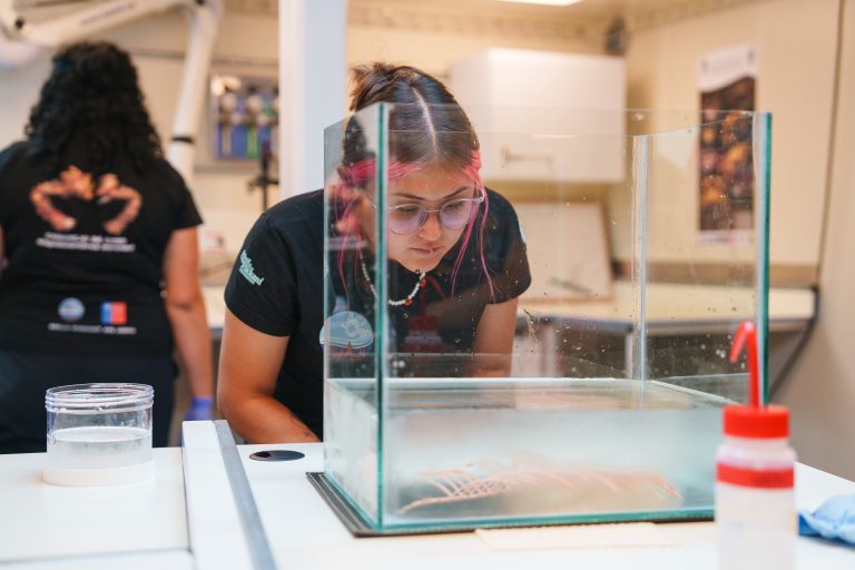 Unexplored Seamounts of the Salas y Gómez Ridge - Schmidt Ocean Institute