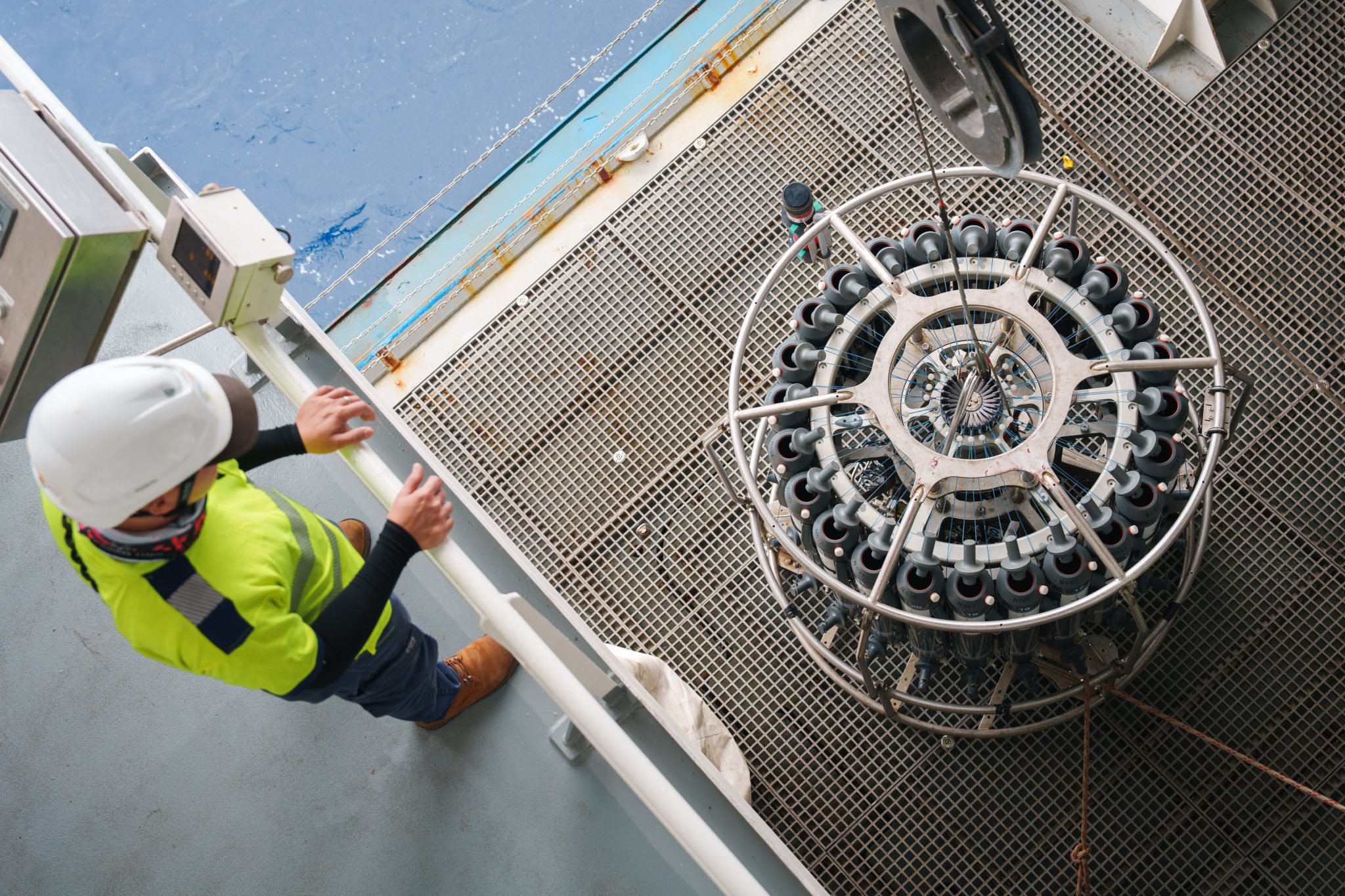 Underwater Oases of the Mar Del Plata Canyon - Schmidt Ocean Institute
