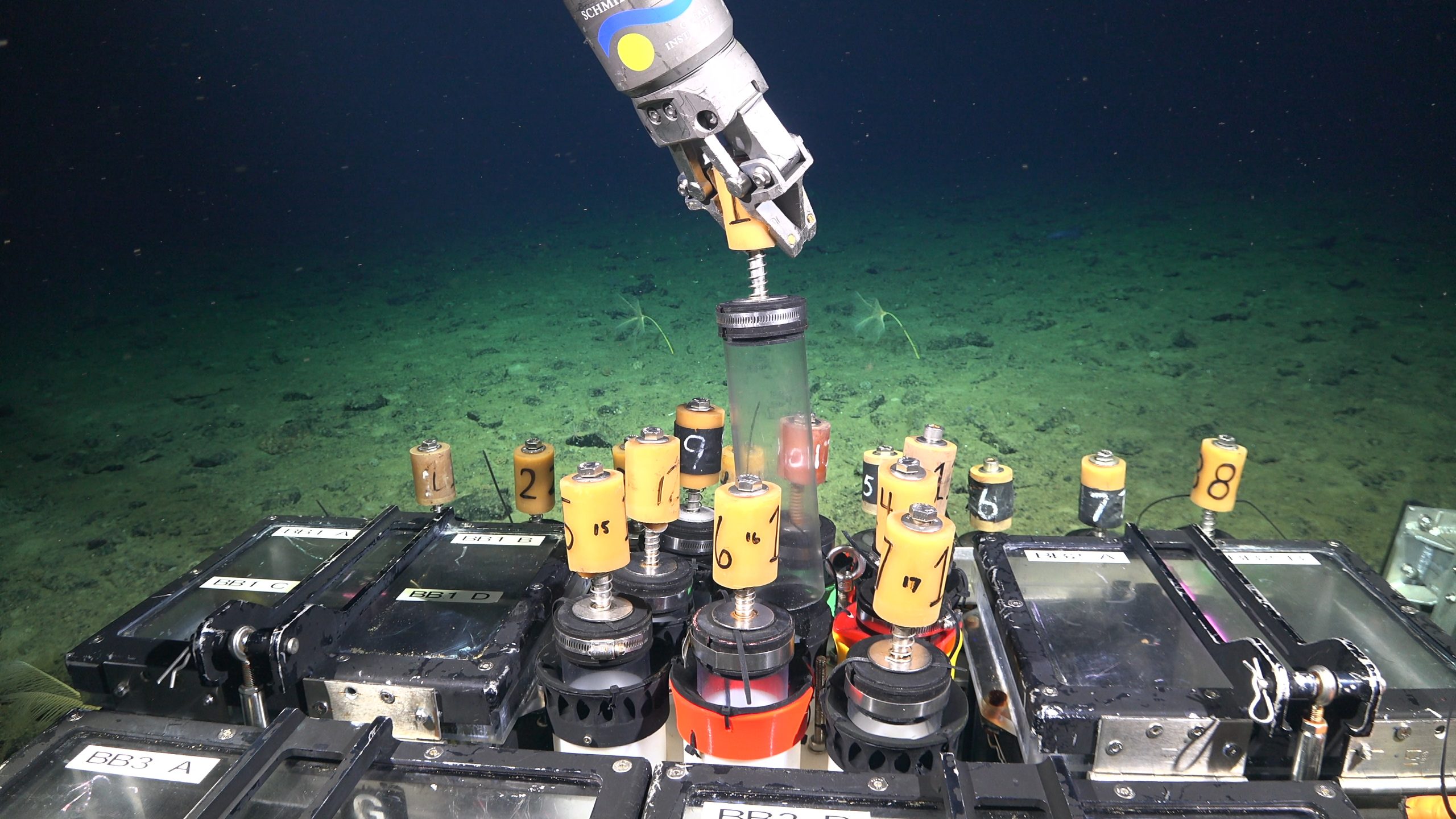 Scientists Locate Chilé's Deepest Known Cold Seeps - Schmidt Ocean Institute
