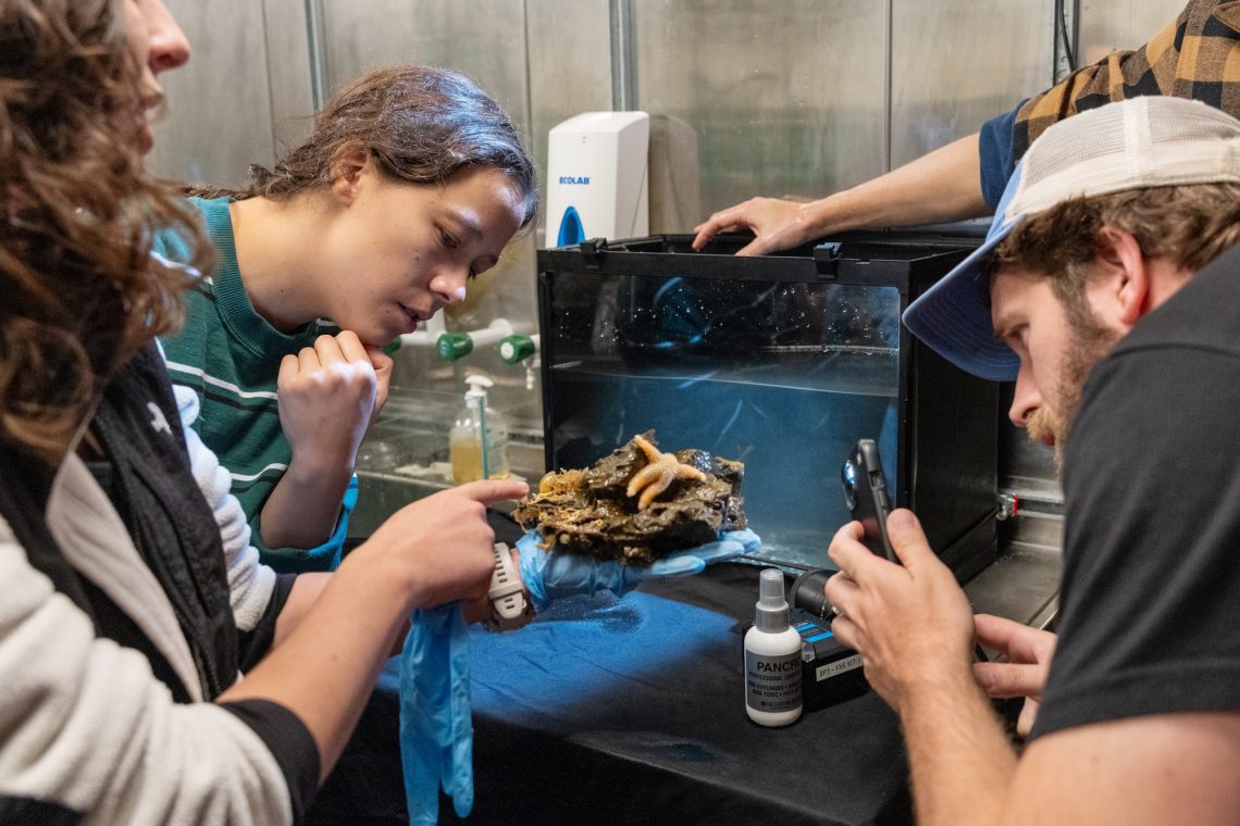 Deep-Sea Expedition Leadership Master Class - Schmidt Ocean Institute