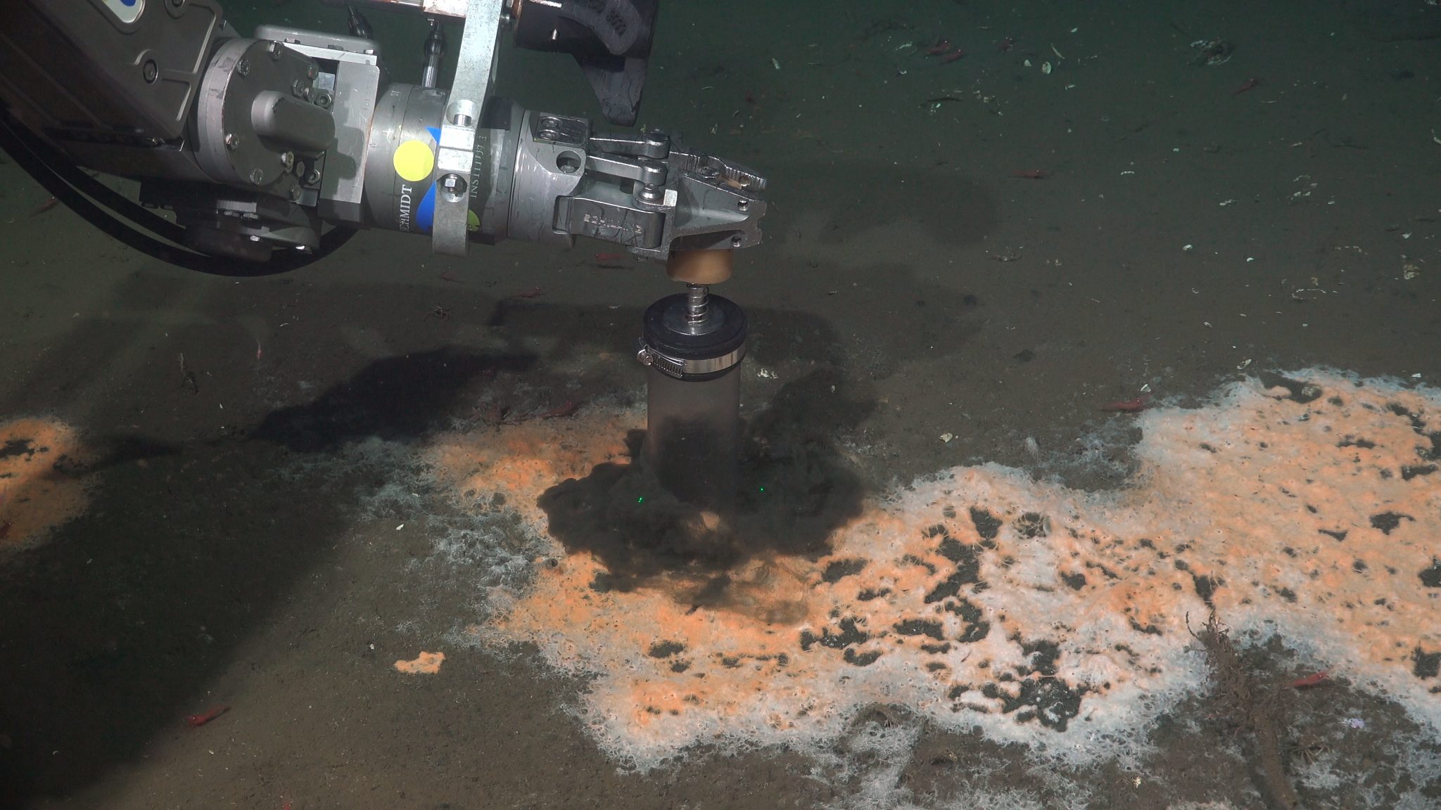 Into the Southern Ocean - Schmidt Ocean Institute