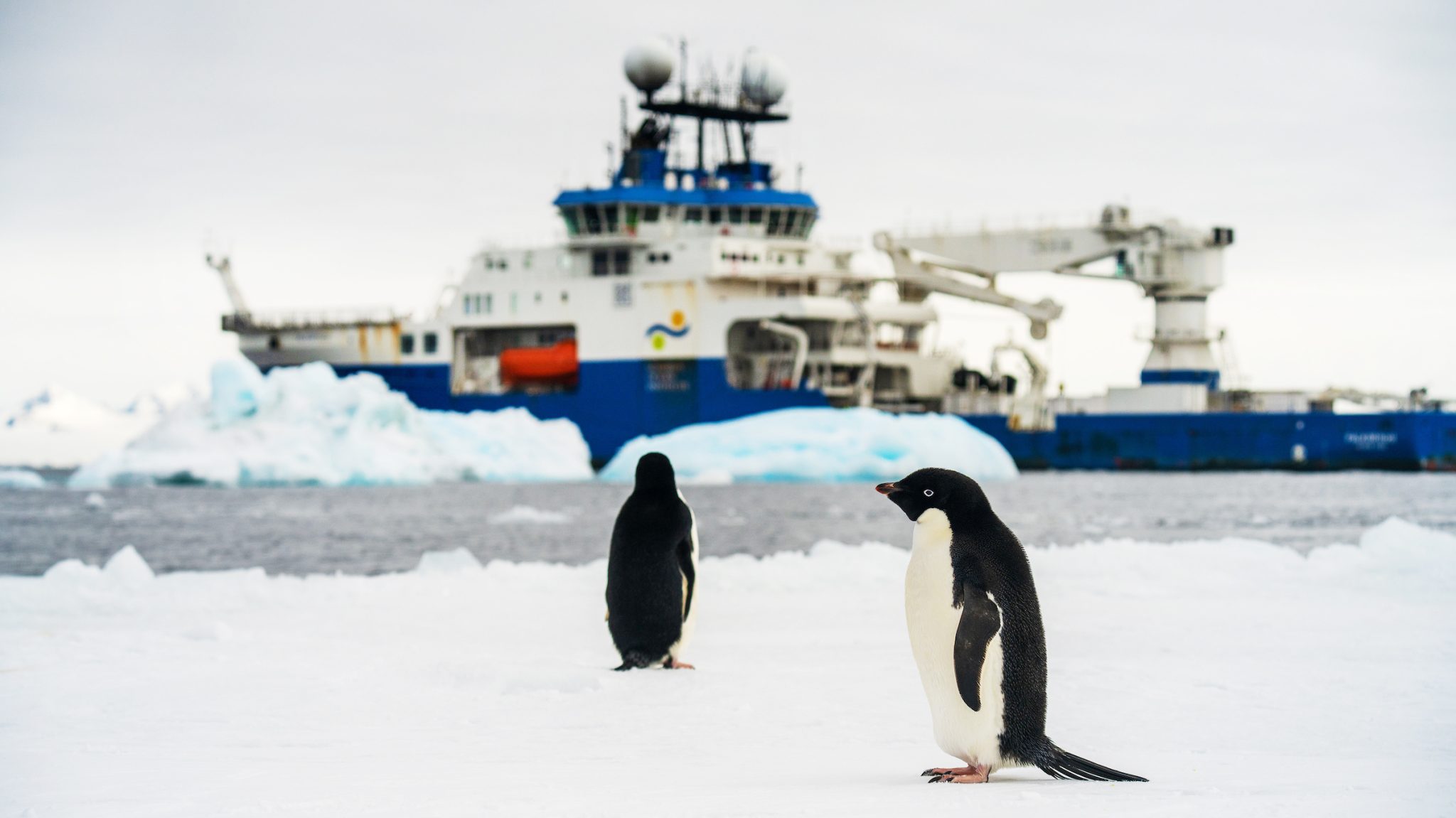 Schmidt Ocean Institute Completes First Expedition To Antarctica ...