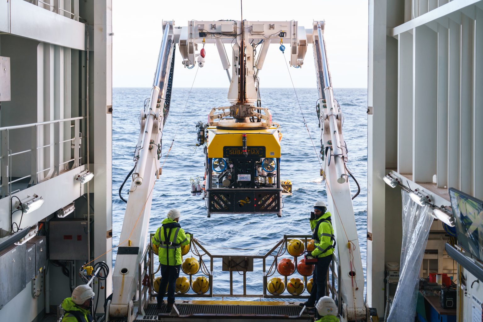 Vibrant Coral Reefs Discovered in Historic Exploration of Uruguay’s ...