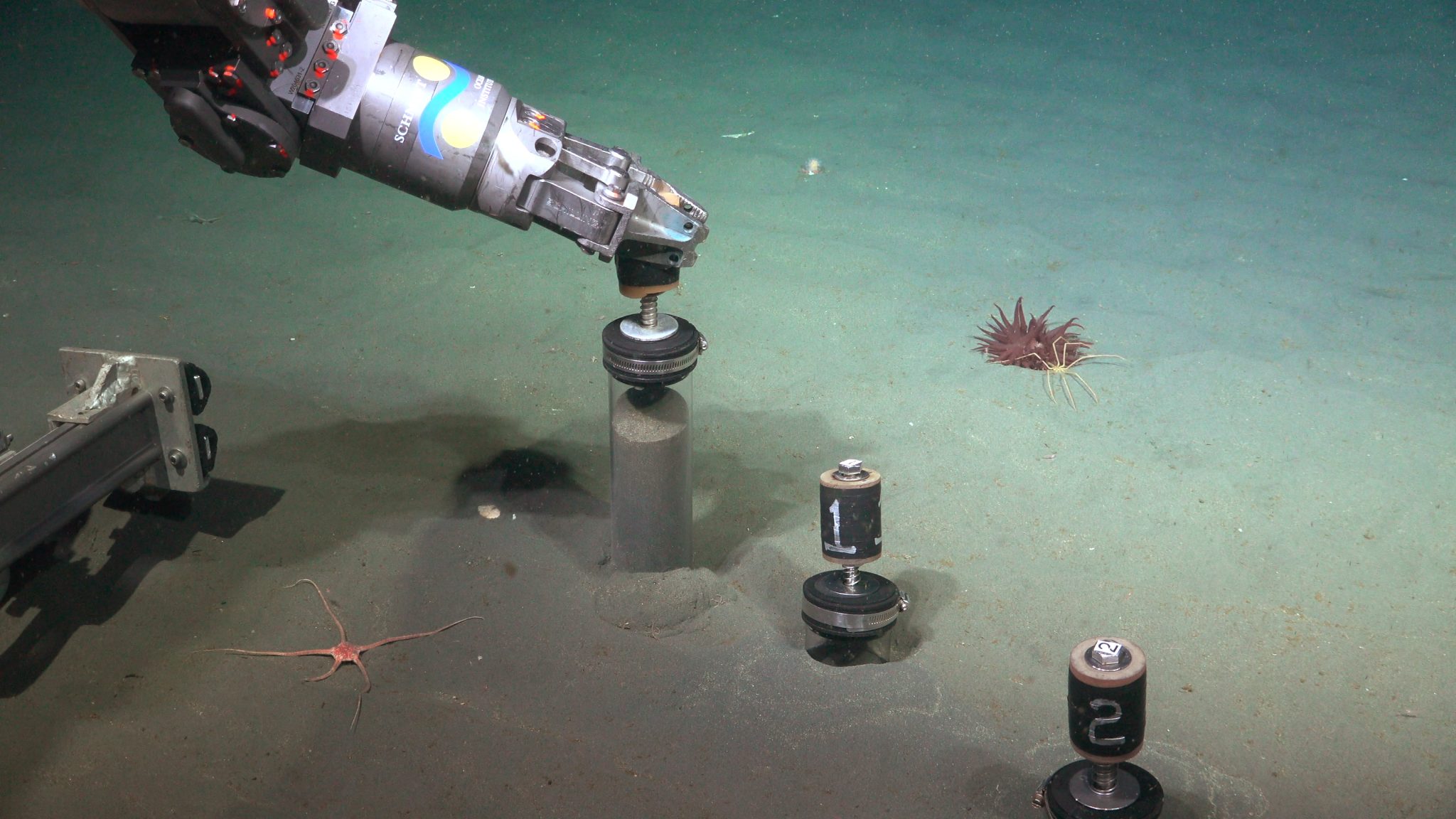 Searching for the Asgards - Schmidt Ocean Institute