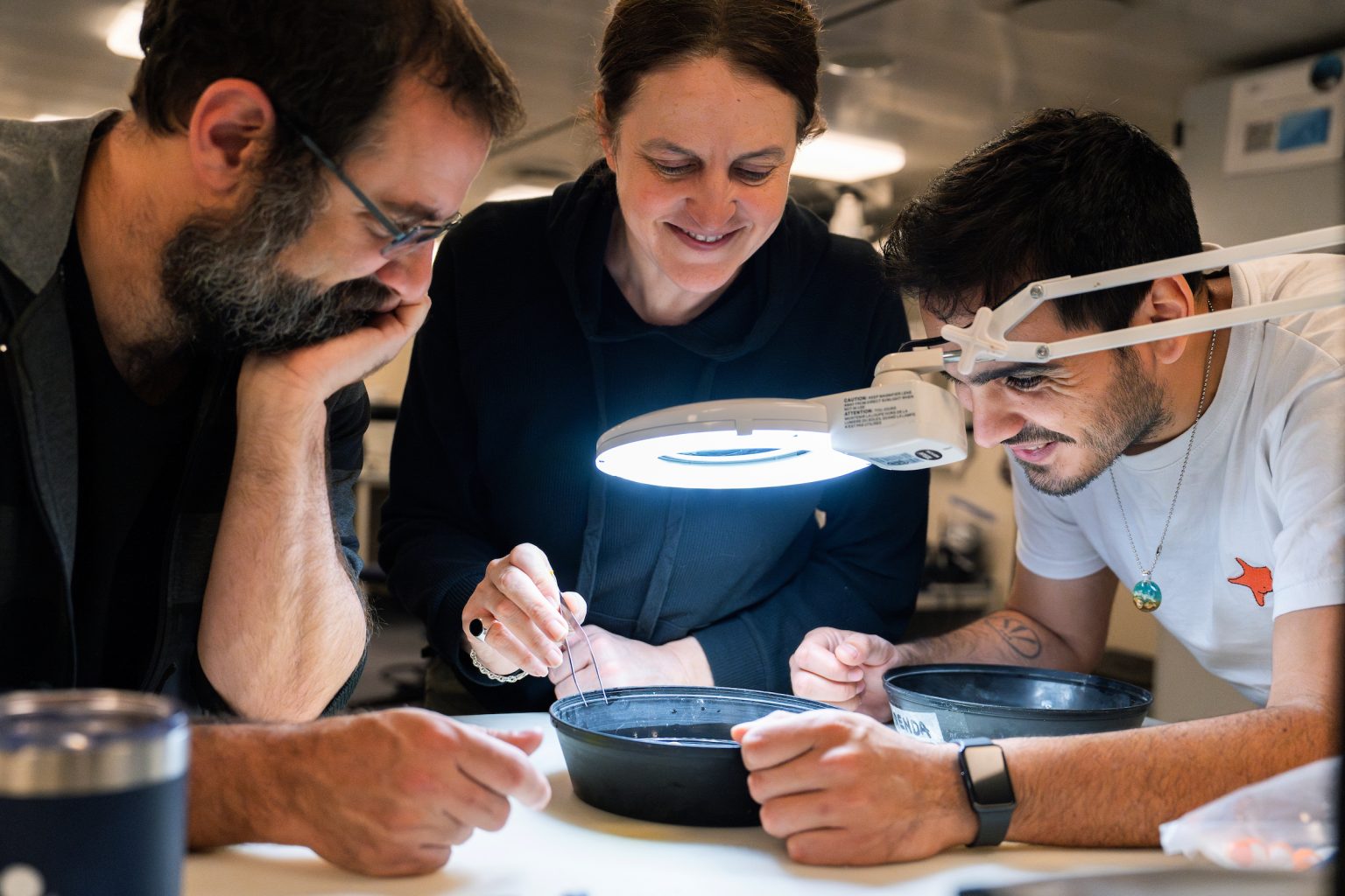 Argentina’s Deep Sea Is More Biodiverse Than Scientists Thought ...