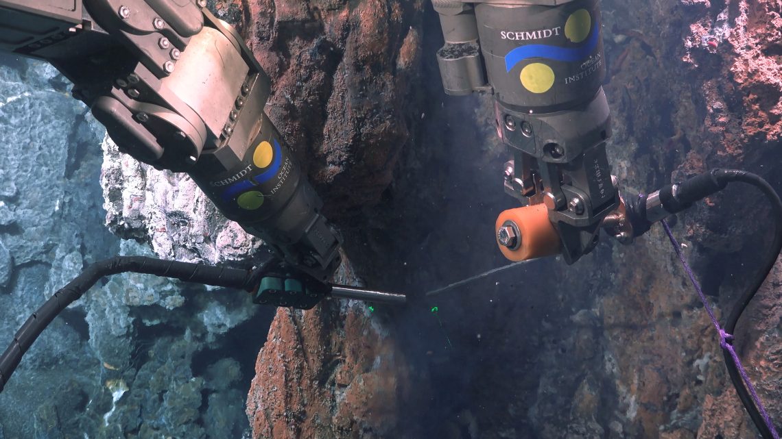 Cause and Effect: How Ecosystem Elements Affect One Another - Schmidt ...