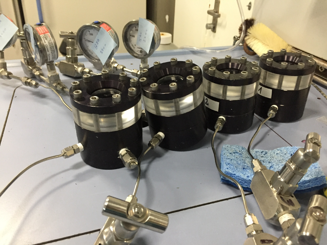 Giant Worms on a Very Special Volcano - Schmidt Ocean Institute