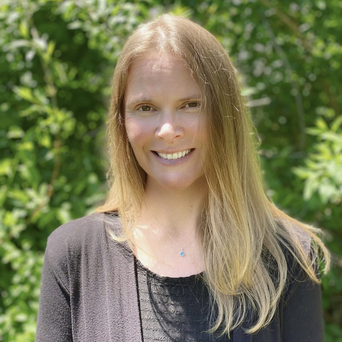 The Strategy for Finding Hydrothermal Vents - Schmidt Ocean Institute