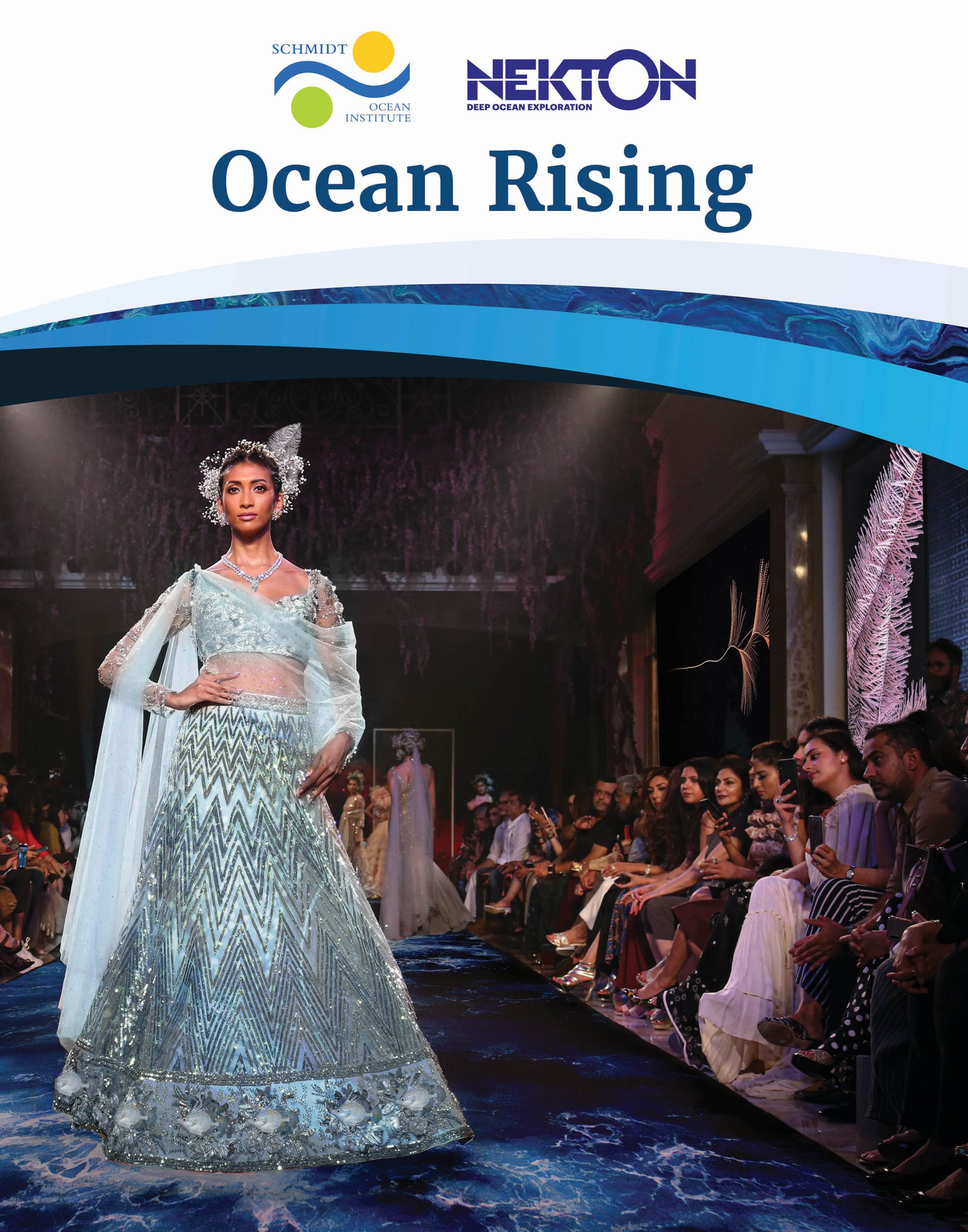 Workshop Spotlight - Schmidt Ocean Institute