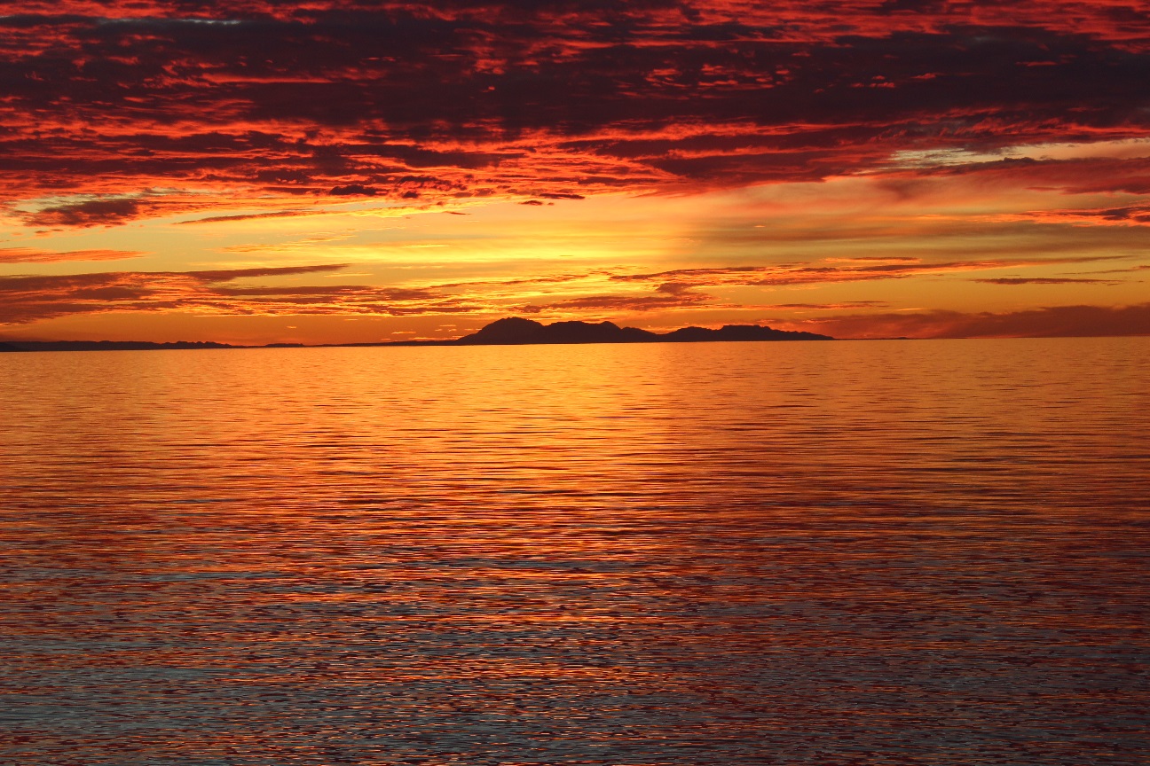 What You Can Sea - Schmidt Ocean Institute