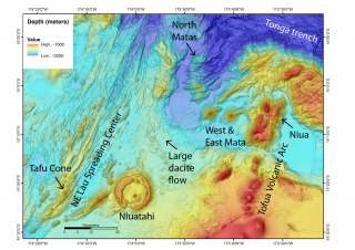 Where Are All These Matas? - Schmidt Ocean Institute