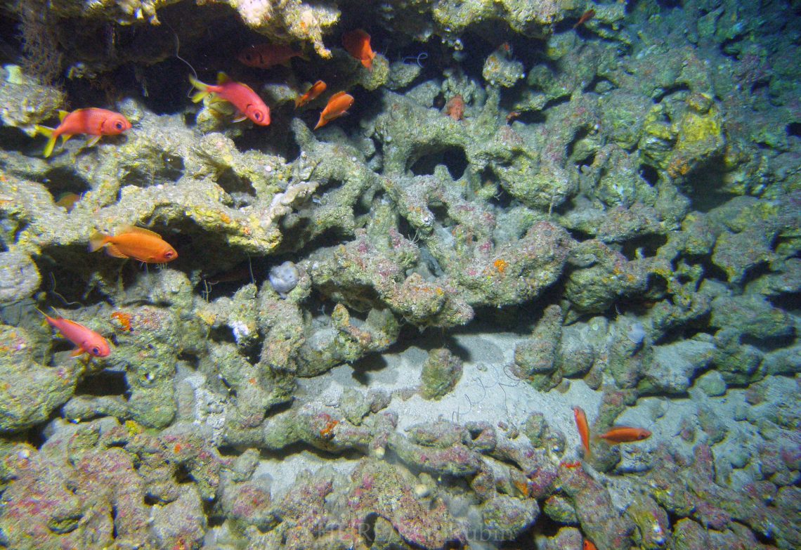 Unraveling Ancient Sea Level Secrets - Schmidt Ocean Institute