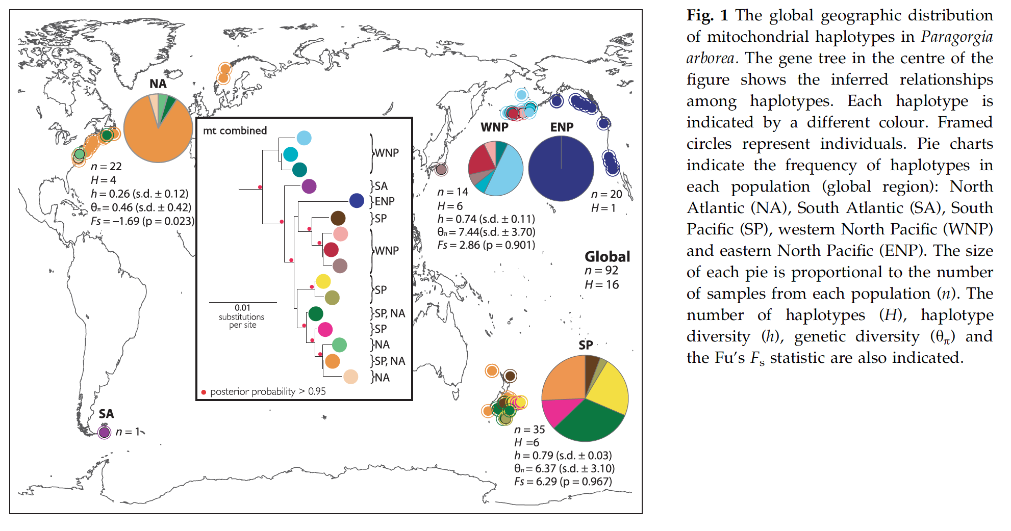 Biogeography 101 - Schmidt Ocean Institute