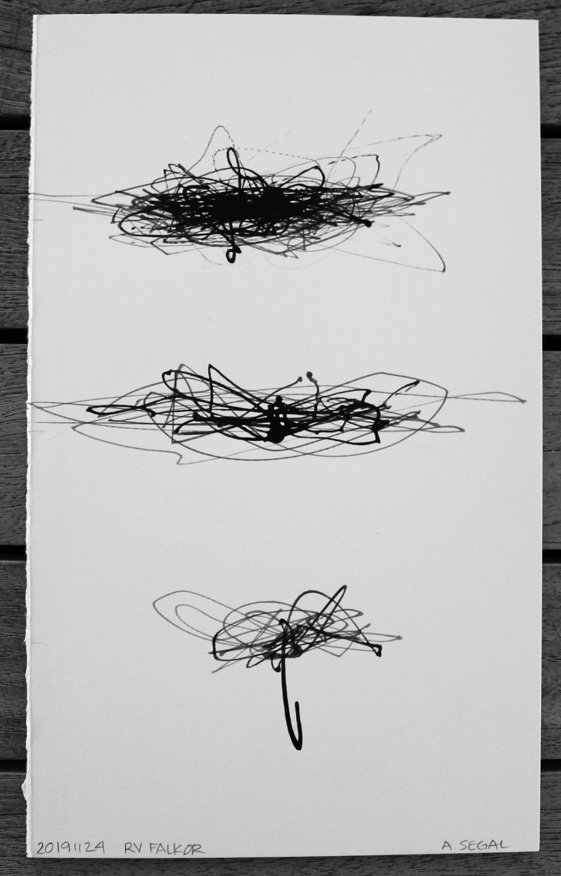 Depicting Motion - Schmidt Ocean Institute