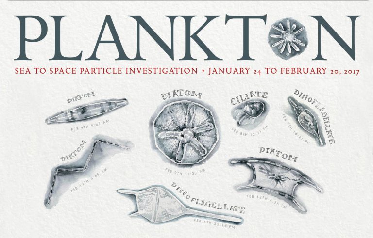 Ocean Education Resources - Schmidt Ocean Institute