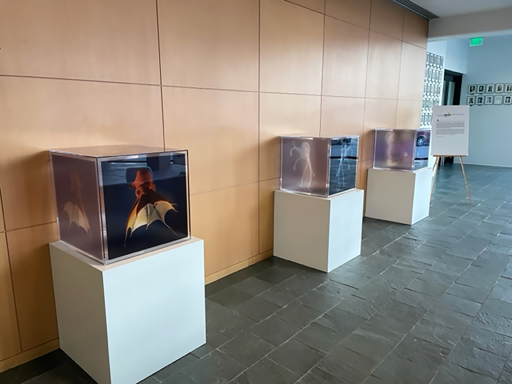 Traveling Artist-at-Sea Exhibit