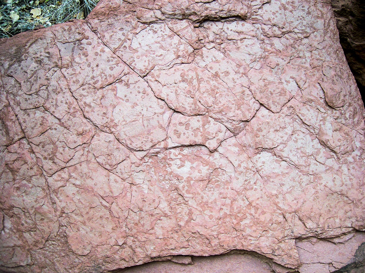 The Ocean Rocks! - Schmidt Ocean Institute