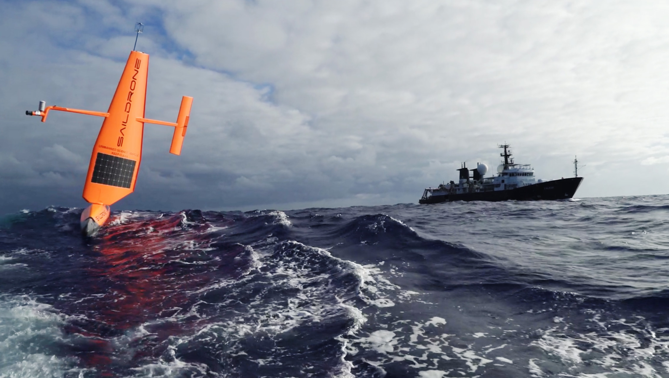 Saildrone ~ Video Update - Schmidt Ocean Institute