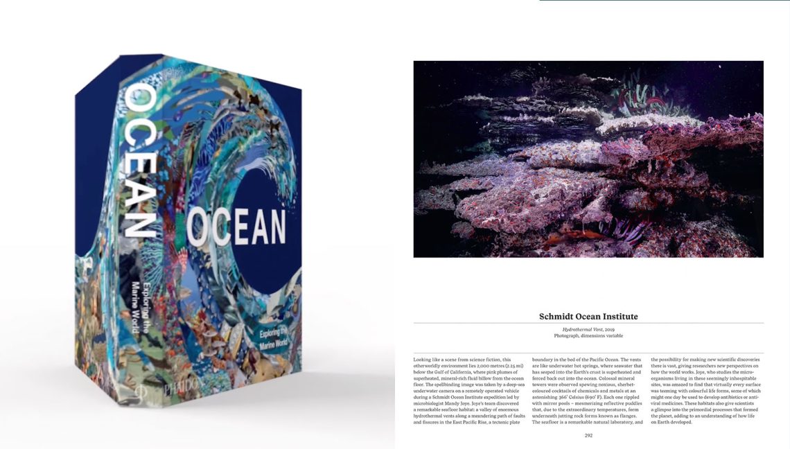 SOI Imagery in the Open - Schmidt Ocean Institute