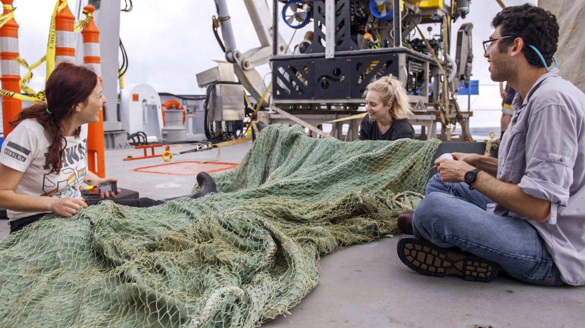 Scientists Voyage To The White Shark Café - Schmidt Ocean Institute