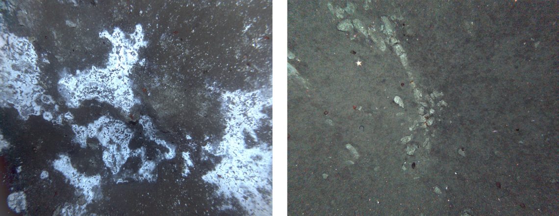 Phase 03: In the Details - Schmidt Ocean Institute