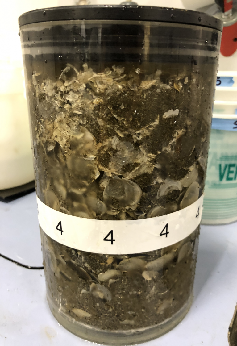 Slurp and Discover - Schmidt Ocean Institute