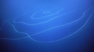 Our Story - Schmidt Ocean Institute