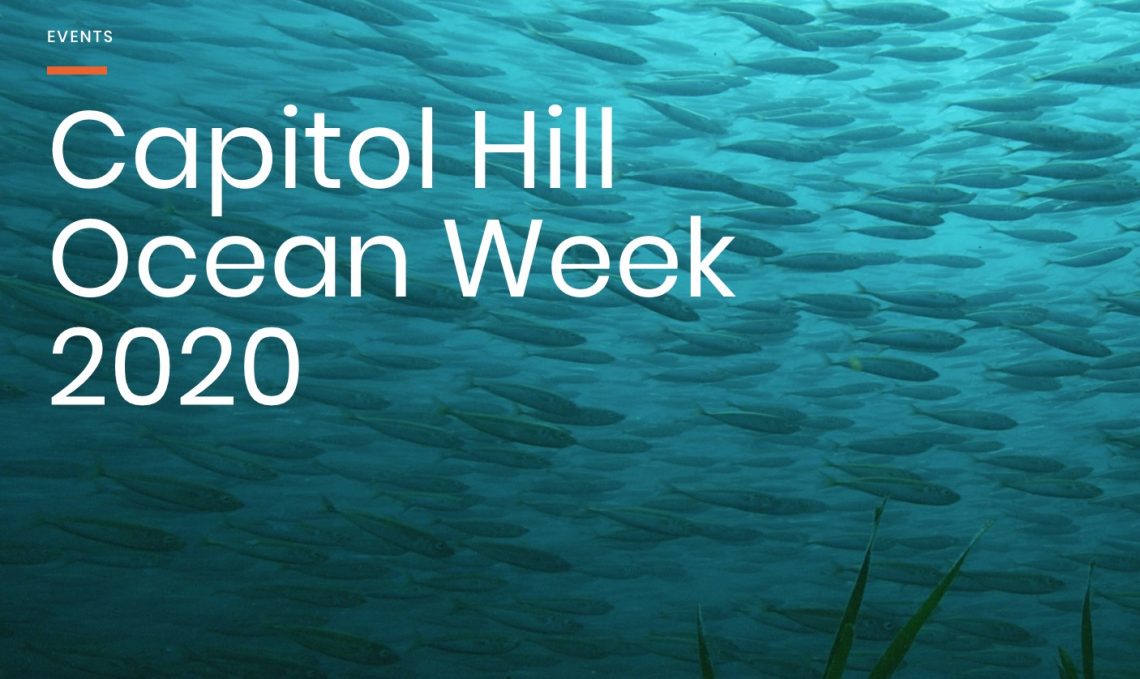 World Ocean Month Calendar 2020 - Schmidt Ocean Institute
