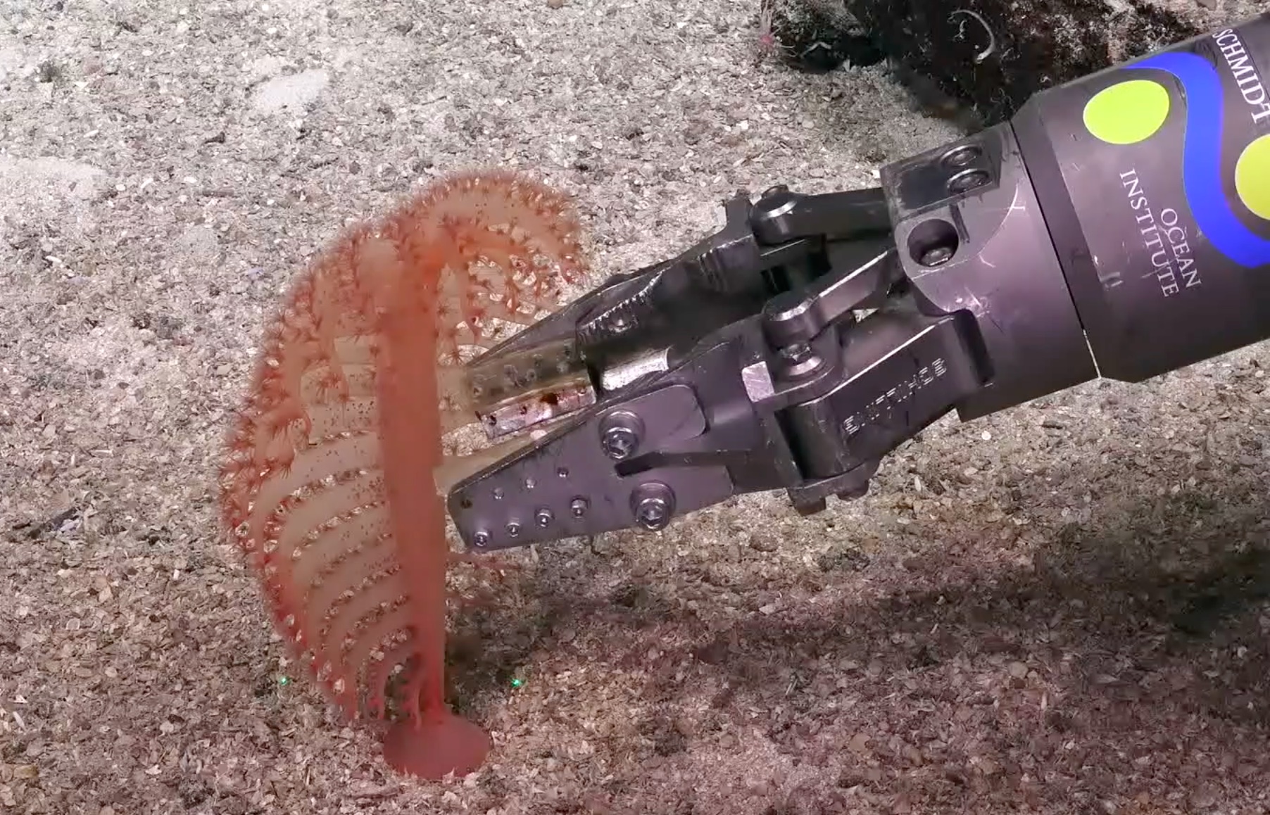 Data and Tools - Video Update - Schmidt Ocean Institute