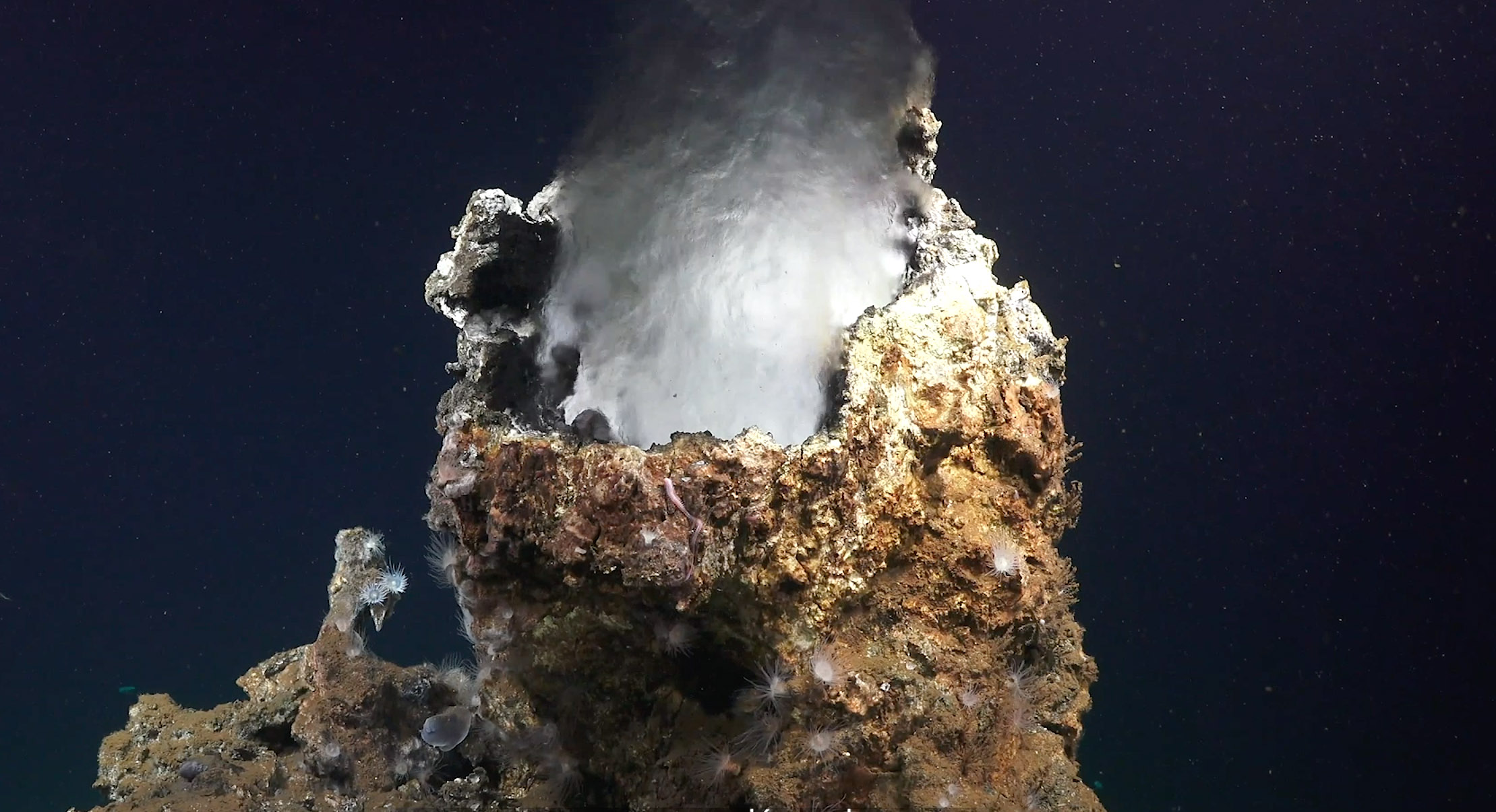 Interdisciplinary Investigation of a New Hydrothermal Vent Field ...