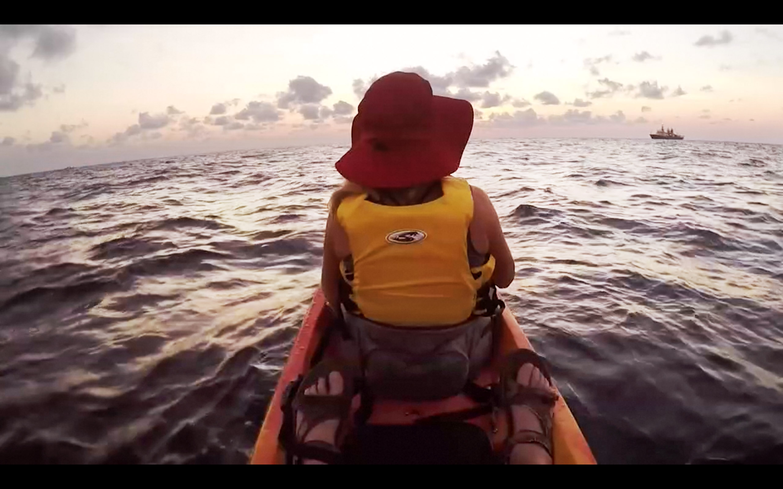 Sea-Surface Microlayer Week 3 Video Update - Schmidt Ocean Institute