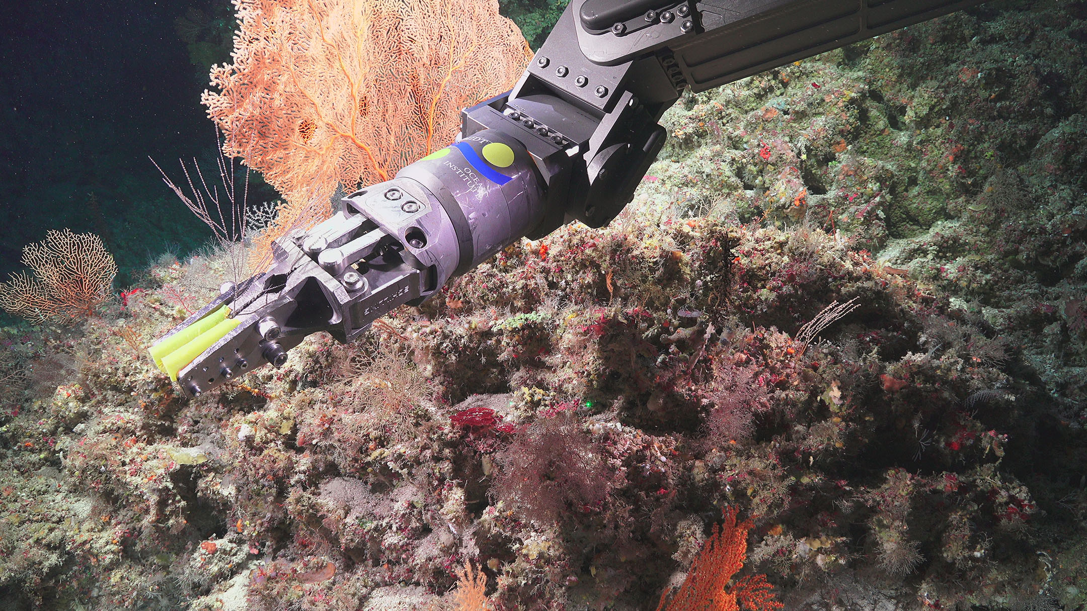 Science & Data Strides - Winter 2023 - Schmidt Ocean Institute