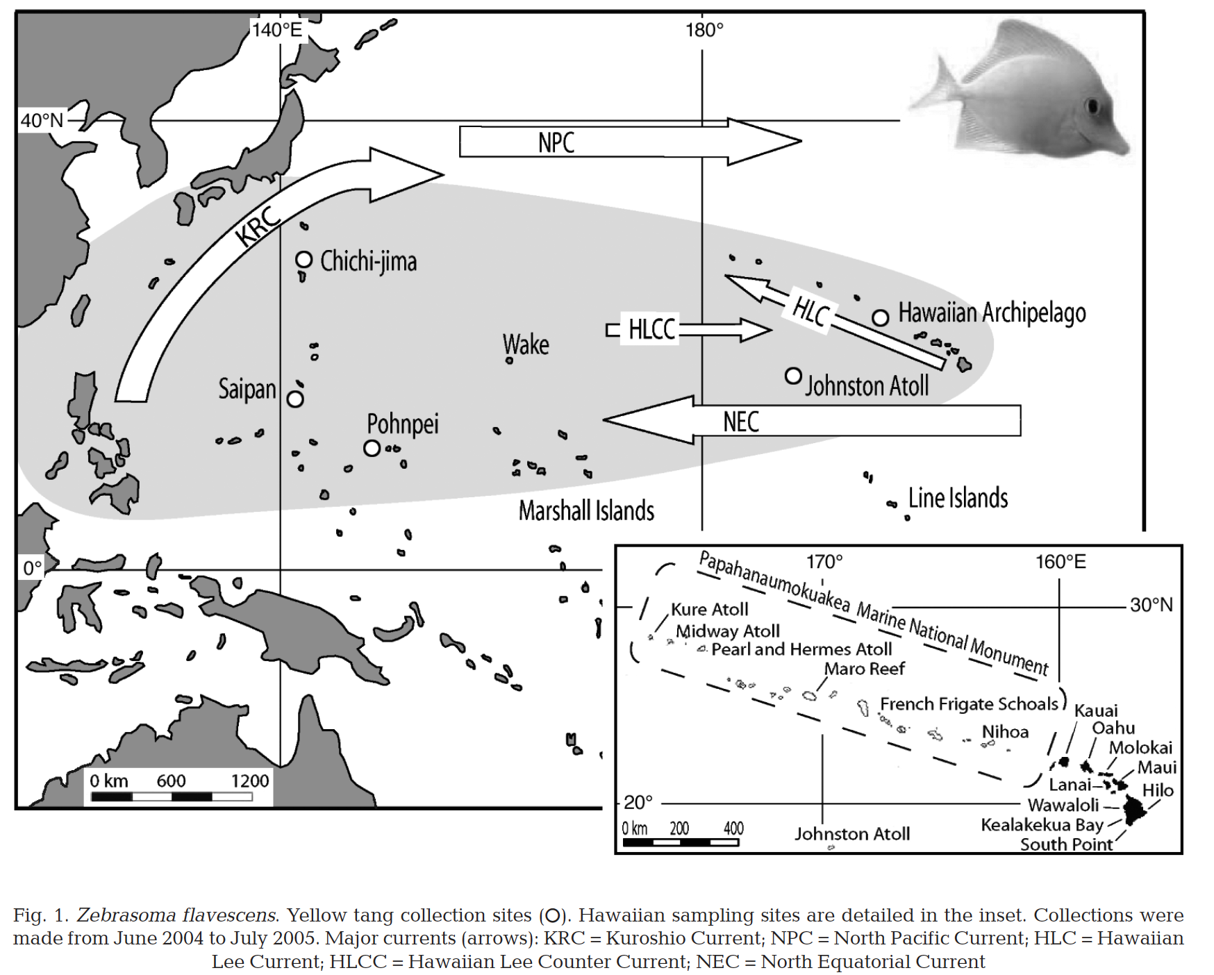 Biogeography 101 - Schmidt Ocean Institute