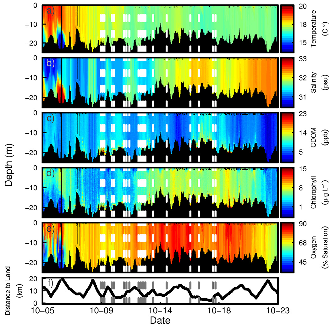 What Goes on Underwater - Schmidt Ocean Institute