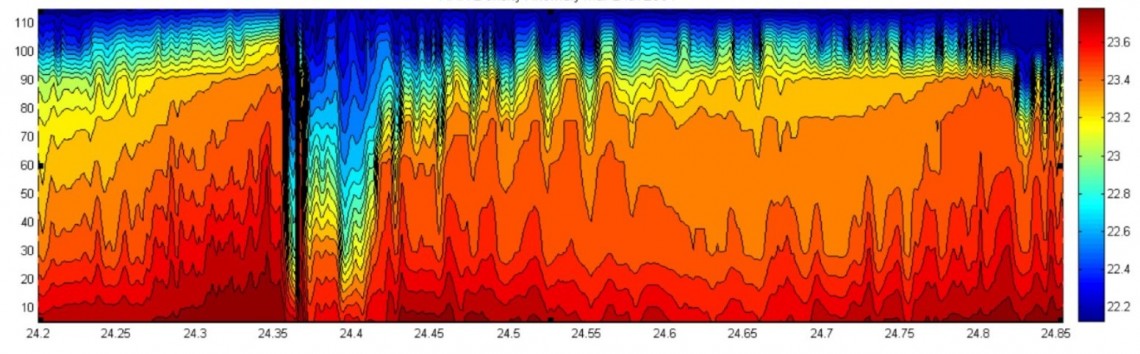 Feeding the reef - Schmidt Ocean Institute