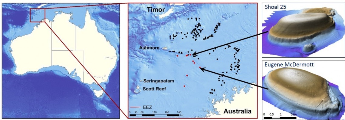 Sounding out hidden reefs - Schmidt Ocean Institute