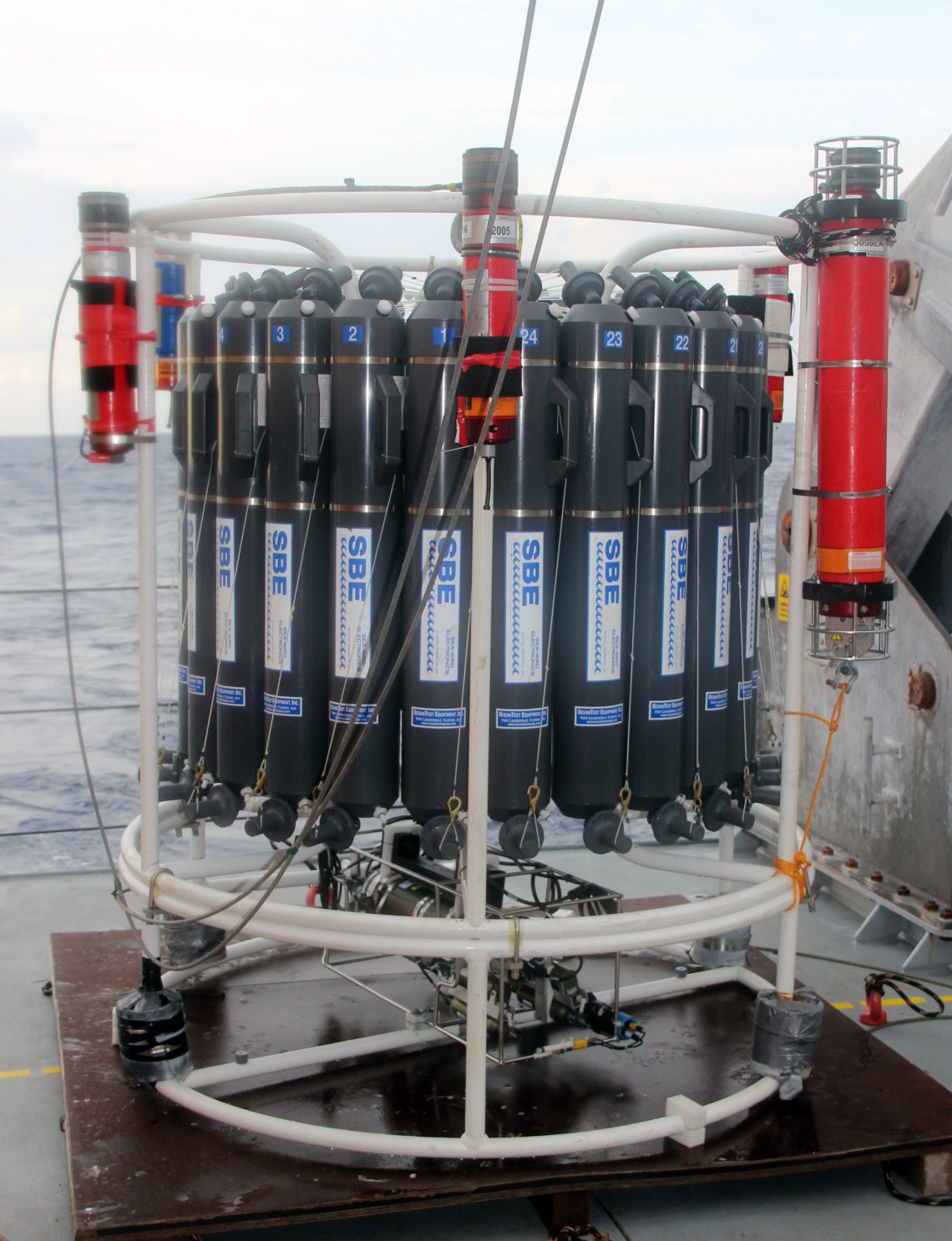 First Salt! - Schmidt Ocean Institute