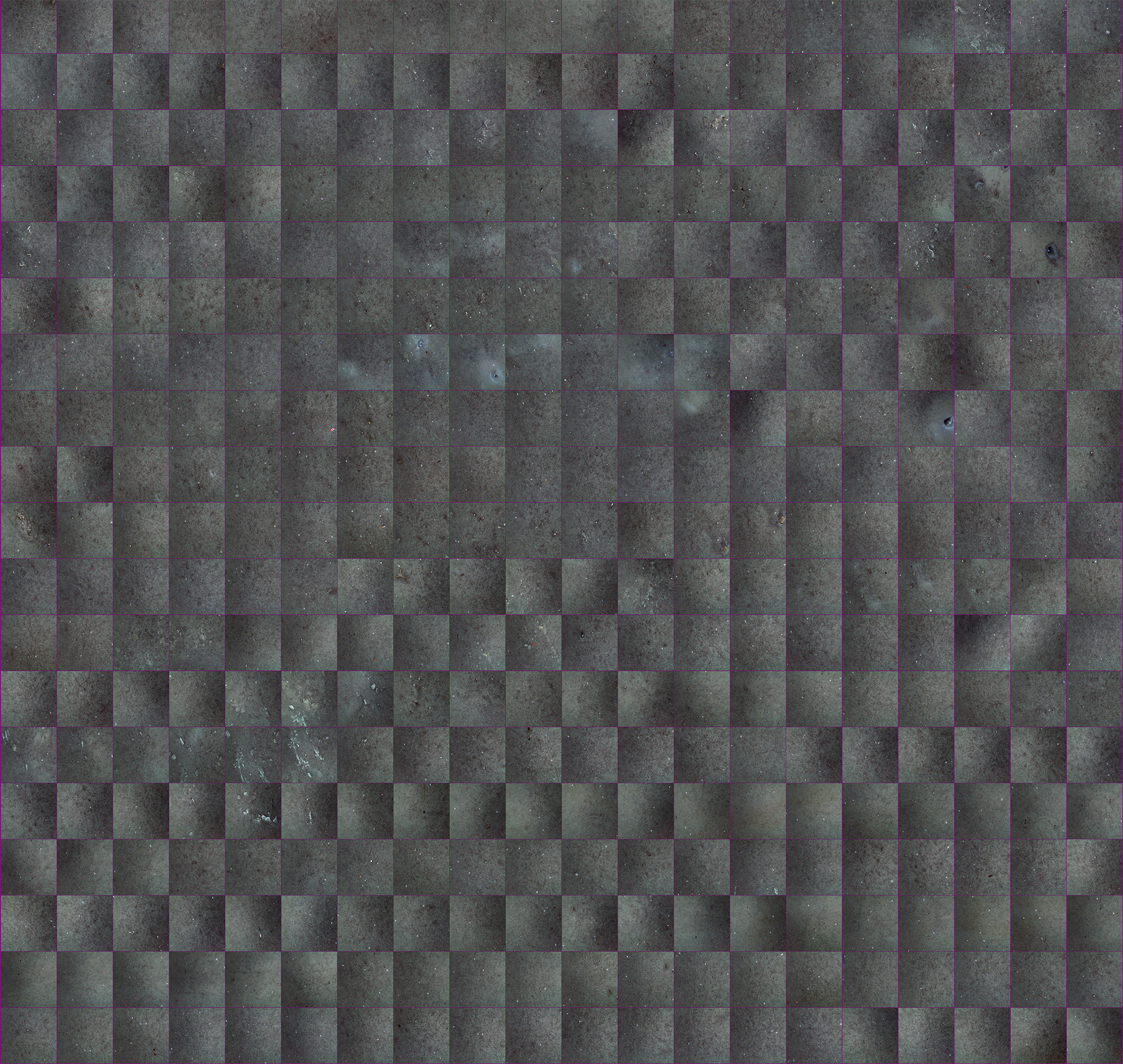 Phase 03: In the Details - Schmidt Ocean Institute