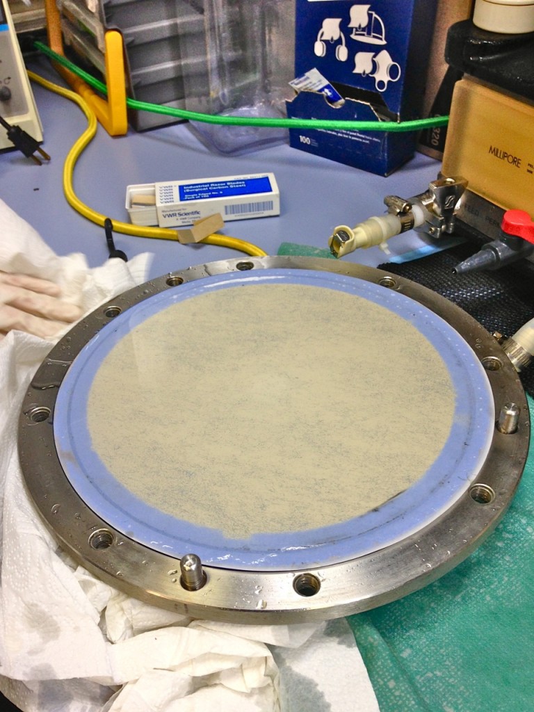 Going Viral - Schmidt Ocean Institute