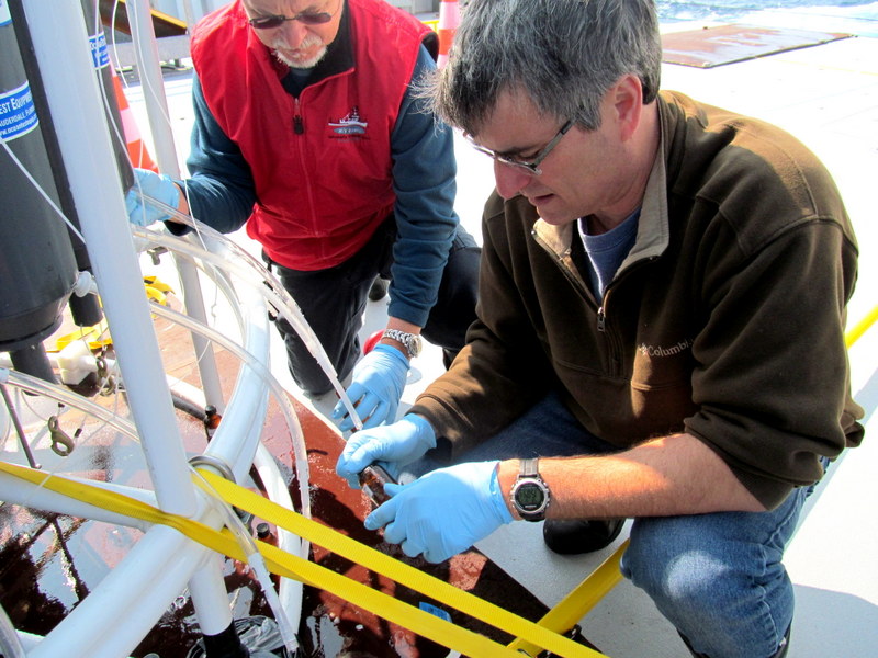 Research Team Seeks Greater Understanding of Ocean’s Bacterial ...