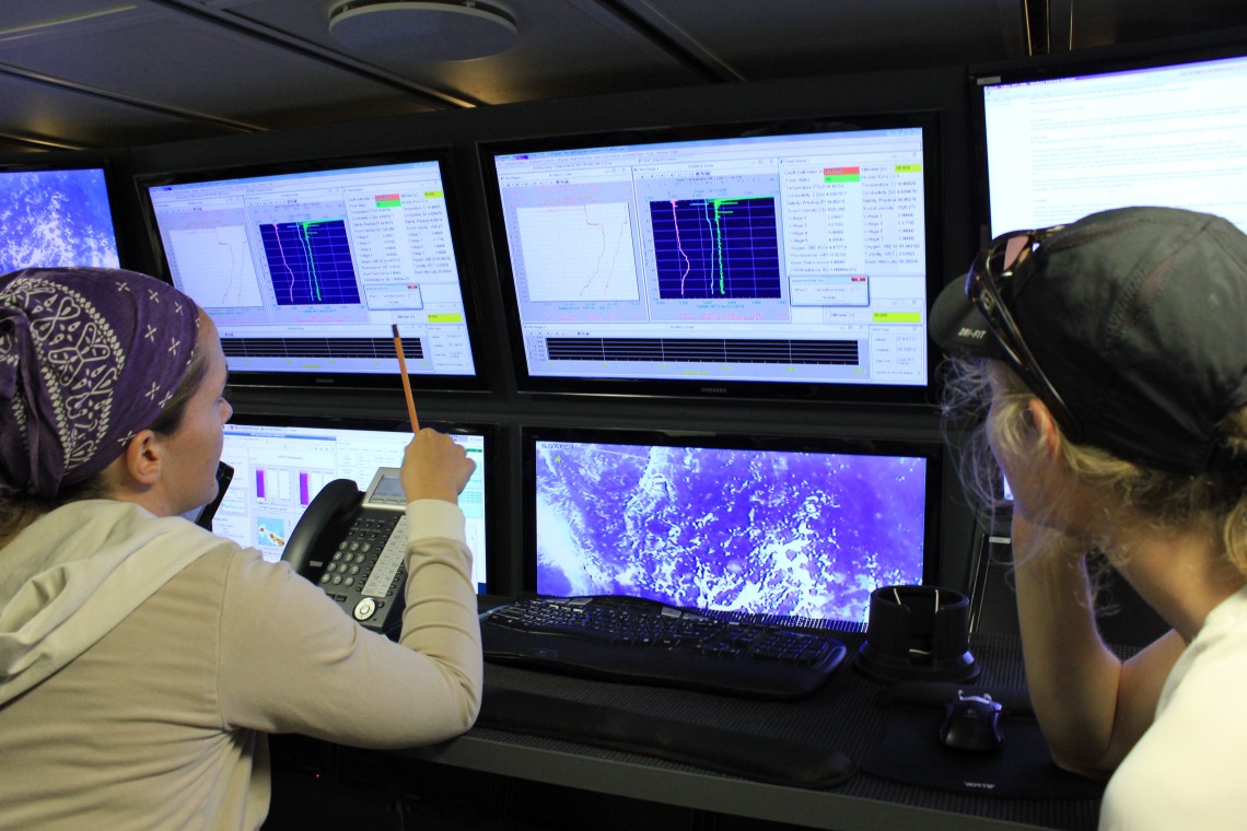 Microzooplankton: Lawnmowers of the Sea - Schmidt Ocean Institute